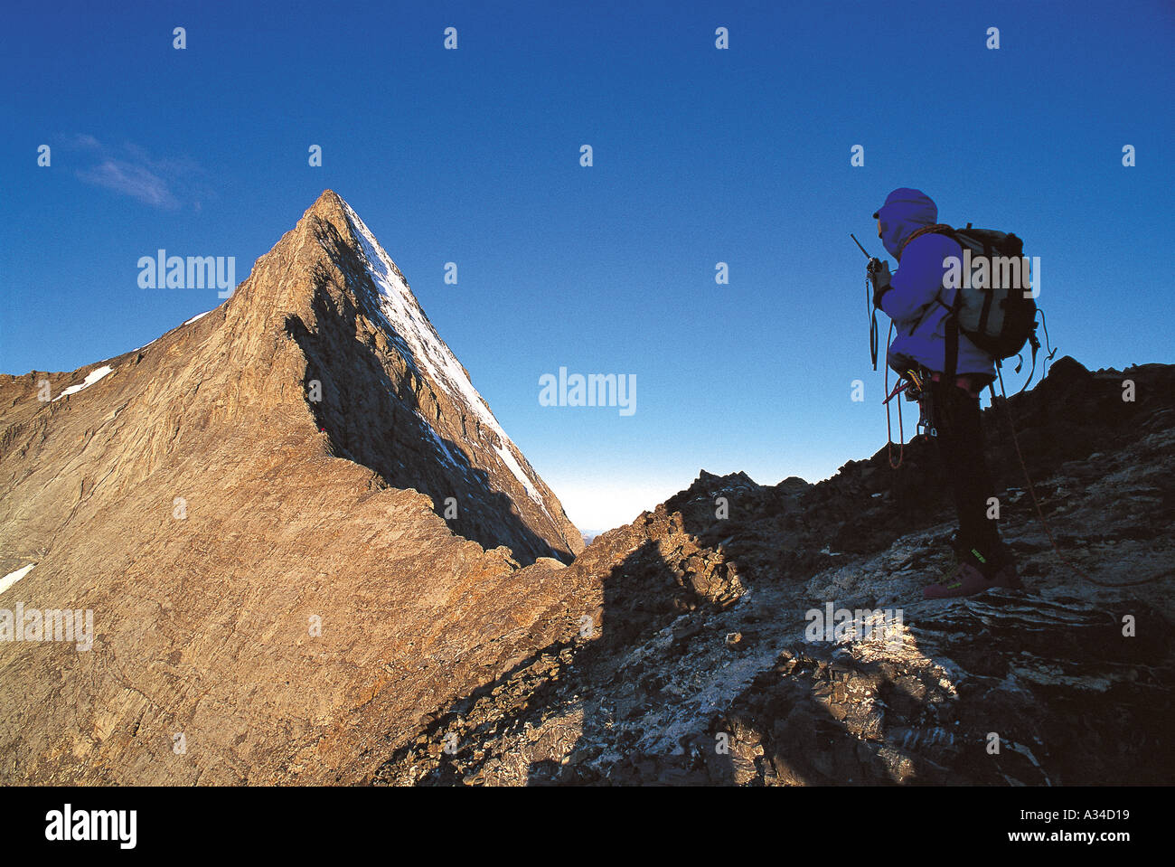 Climbers on mittellegi ridge eiger hi-res stock photography and images ...