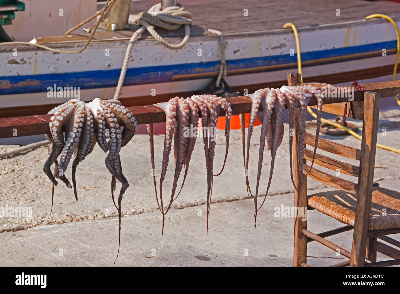 Paros Greece Greek Islands Town of Naoussa Squid drying at harbour ...
