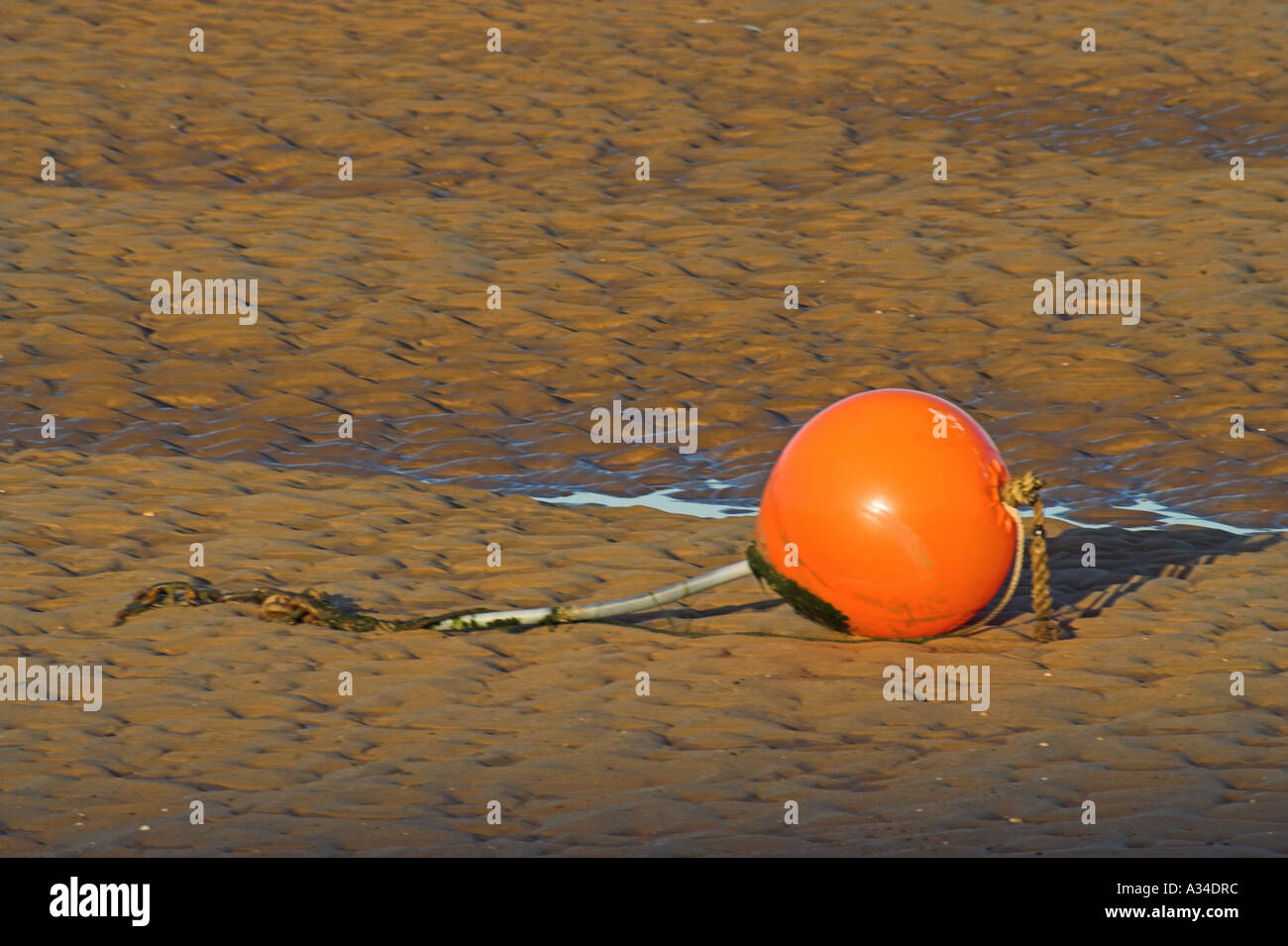Mooring buoy on the beach hi-res stock photography and images - Alamy