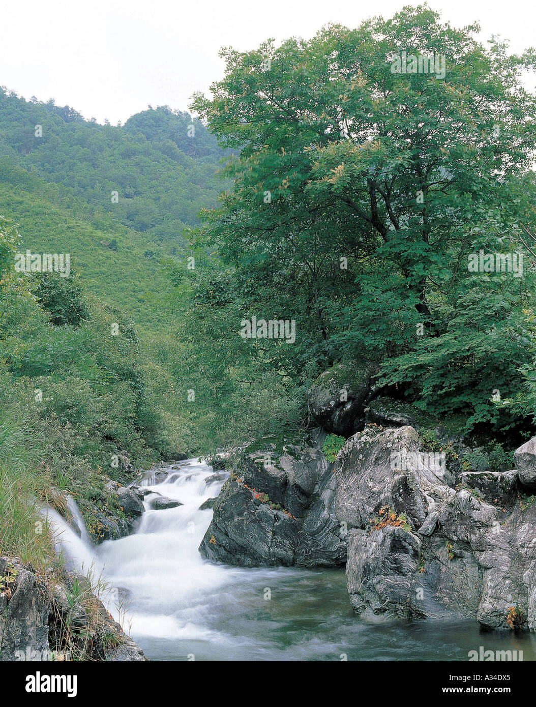 Rock rivulet hi-res stock photography and images - Alamy