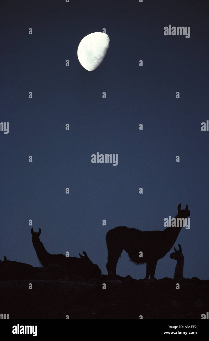 Cordillera raura hi-res stock photography and images - Alamy