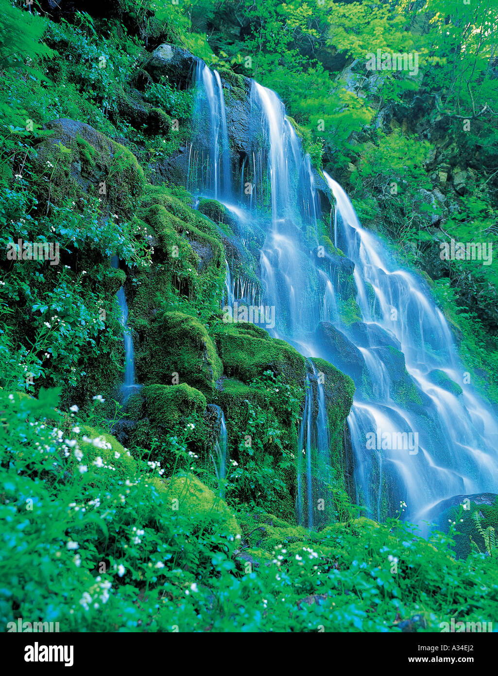 Little falls stream valley hi-res stock photography and images - Alamy