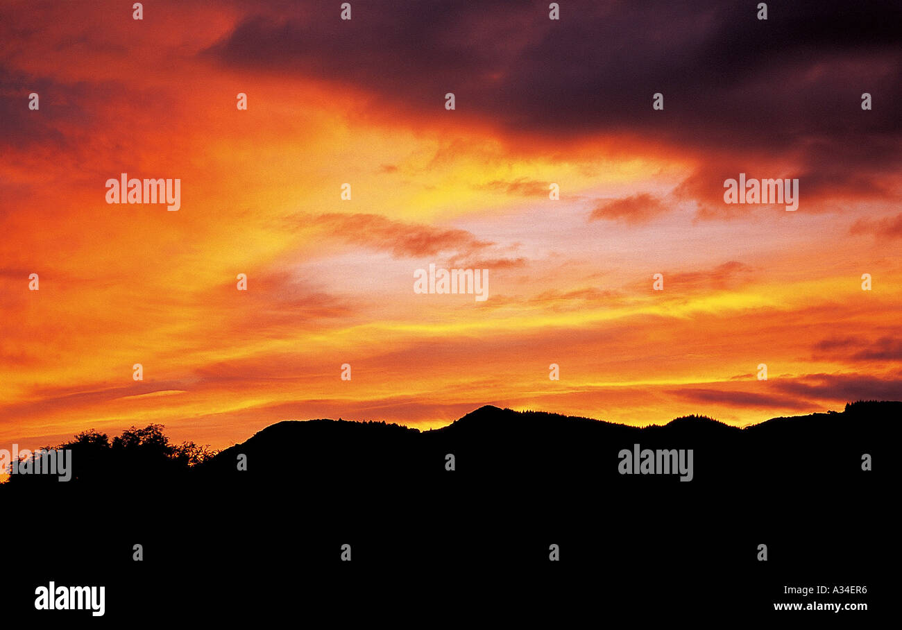 The view of gold color clouds in the red sky Stock Photo - Alamy