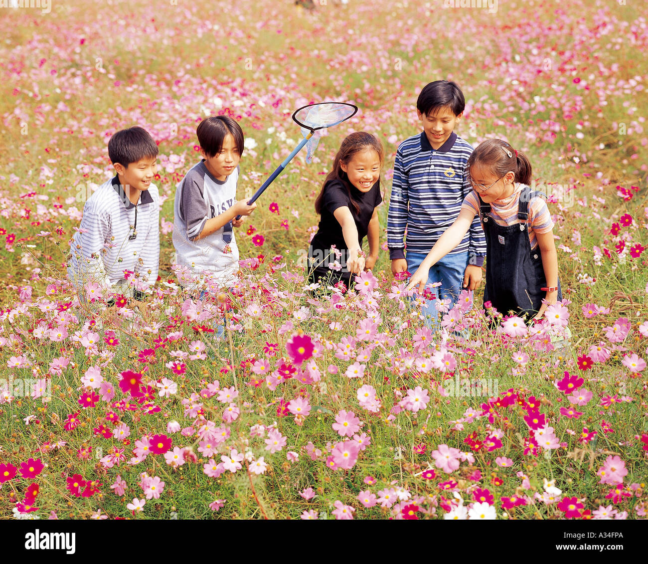 Butterfly catcher hi-res stock photography and images - Alamy