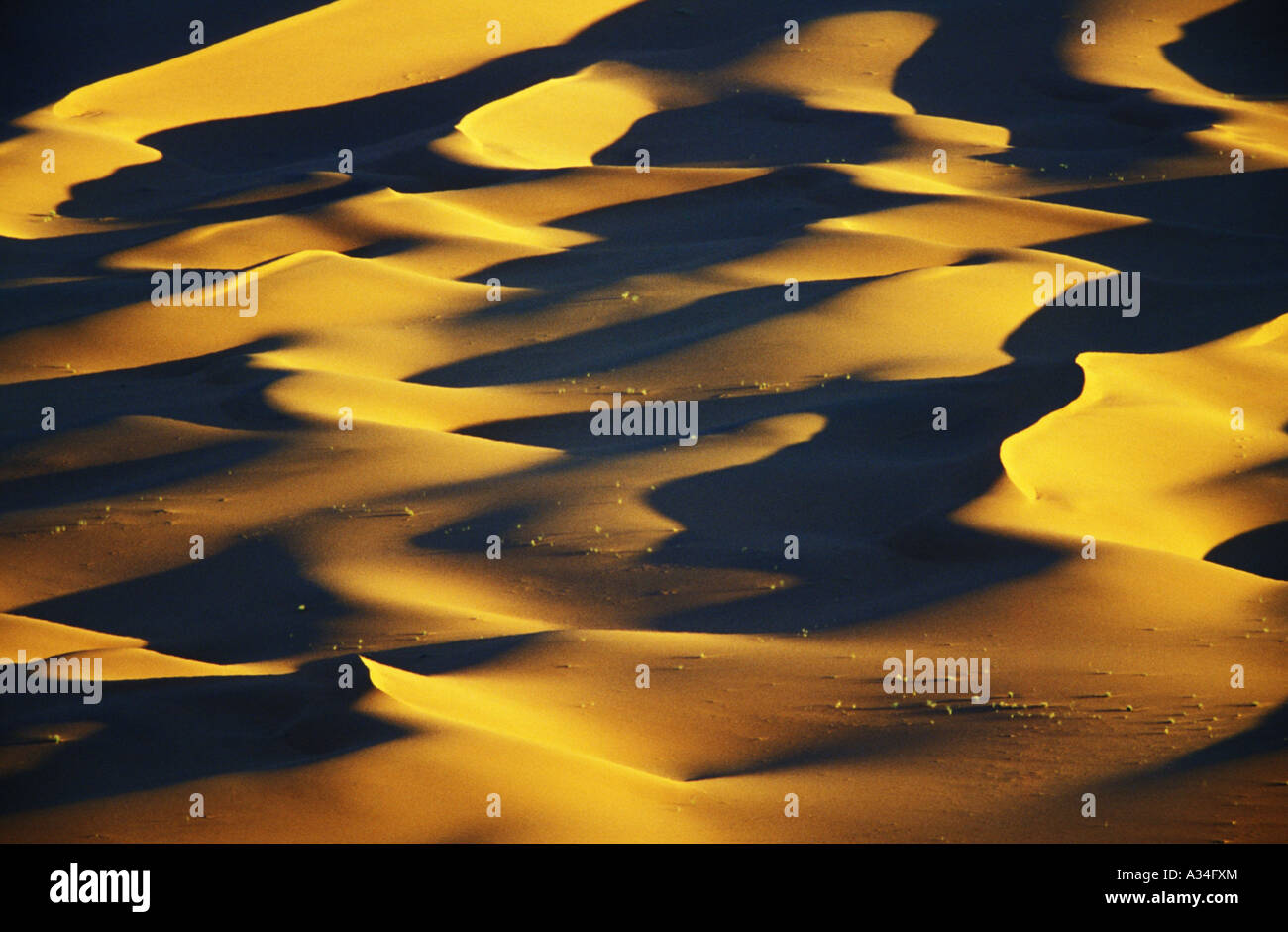 Yellow sand ripple marks in hi-res stock photography and images - Alamy
