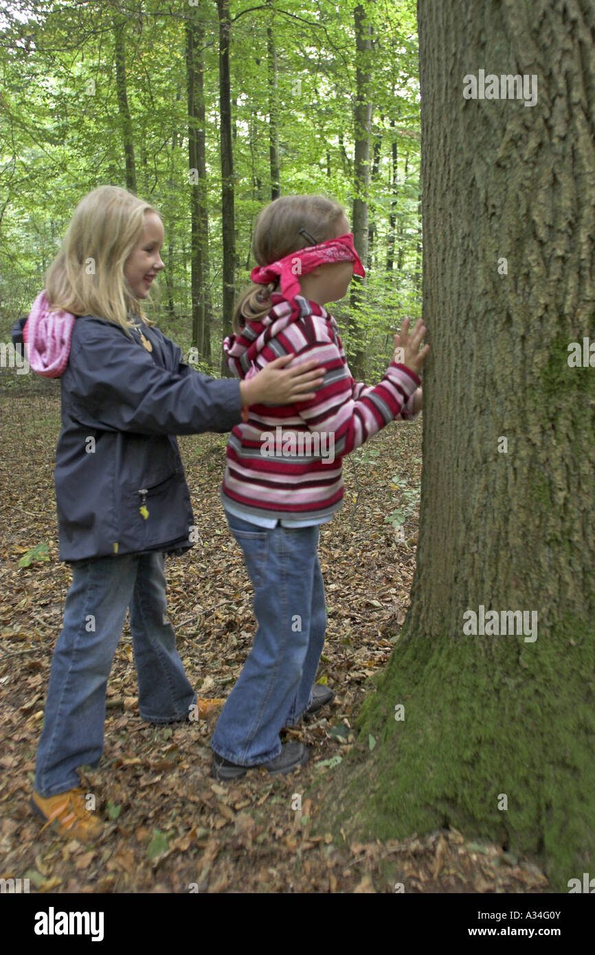 a day in the forest, children fumbling bark Stock Photo - Alamy