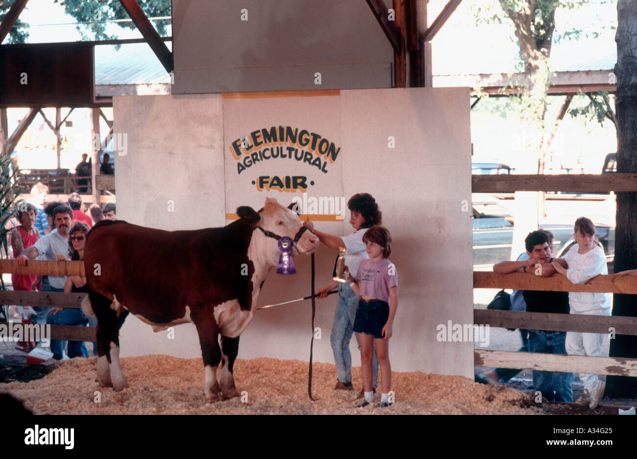 A prize winning cow poses after winning a competition at the Flemington ...