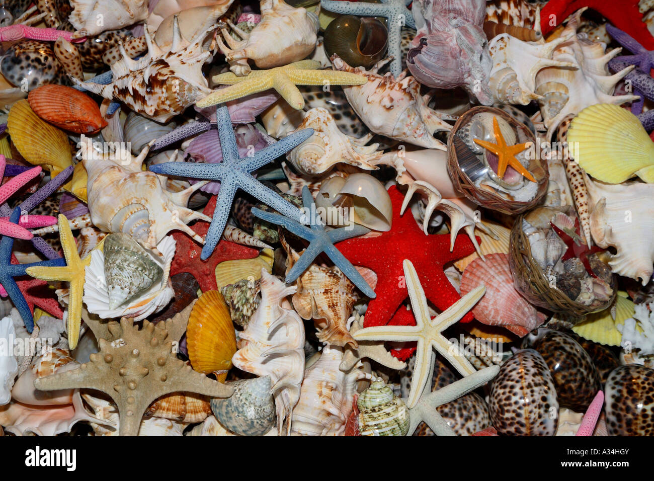 selling of sea animals Stock Photo - Alamy