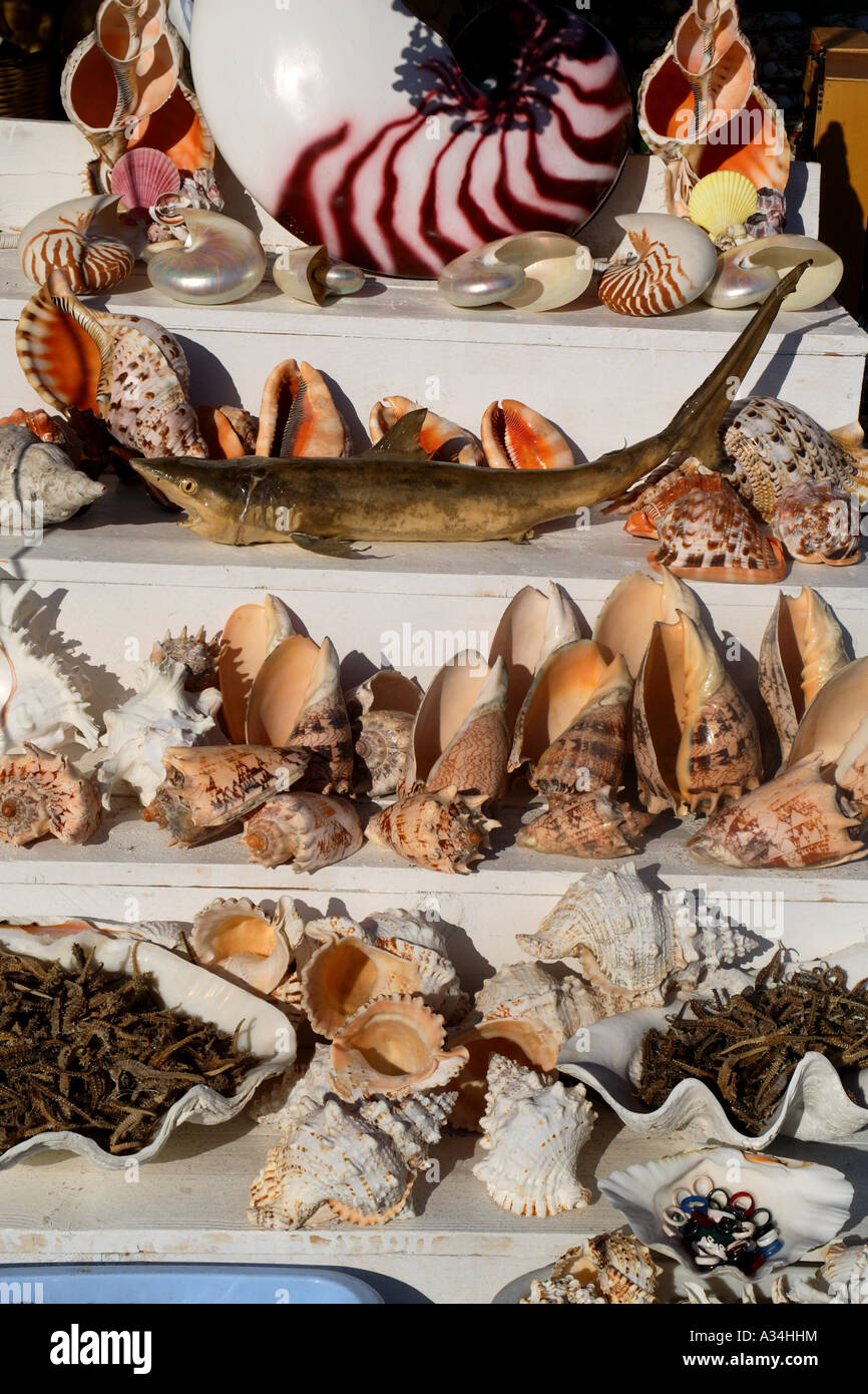 sales booth with sea animals, Greece, Rhodes Stock Photo - Alamy