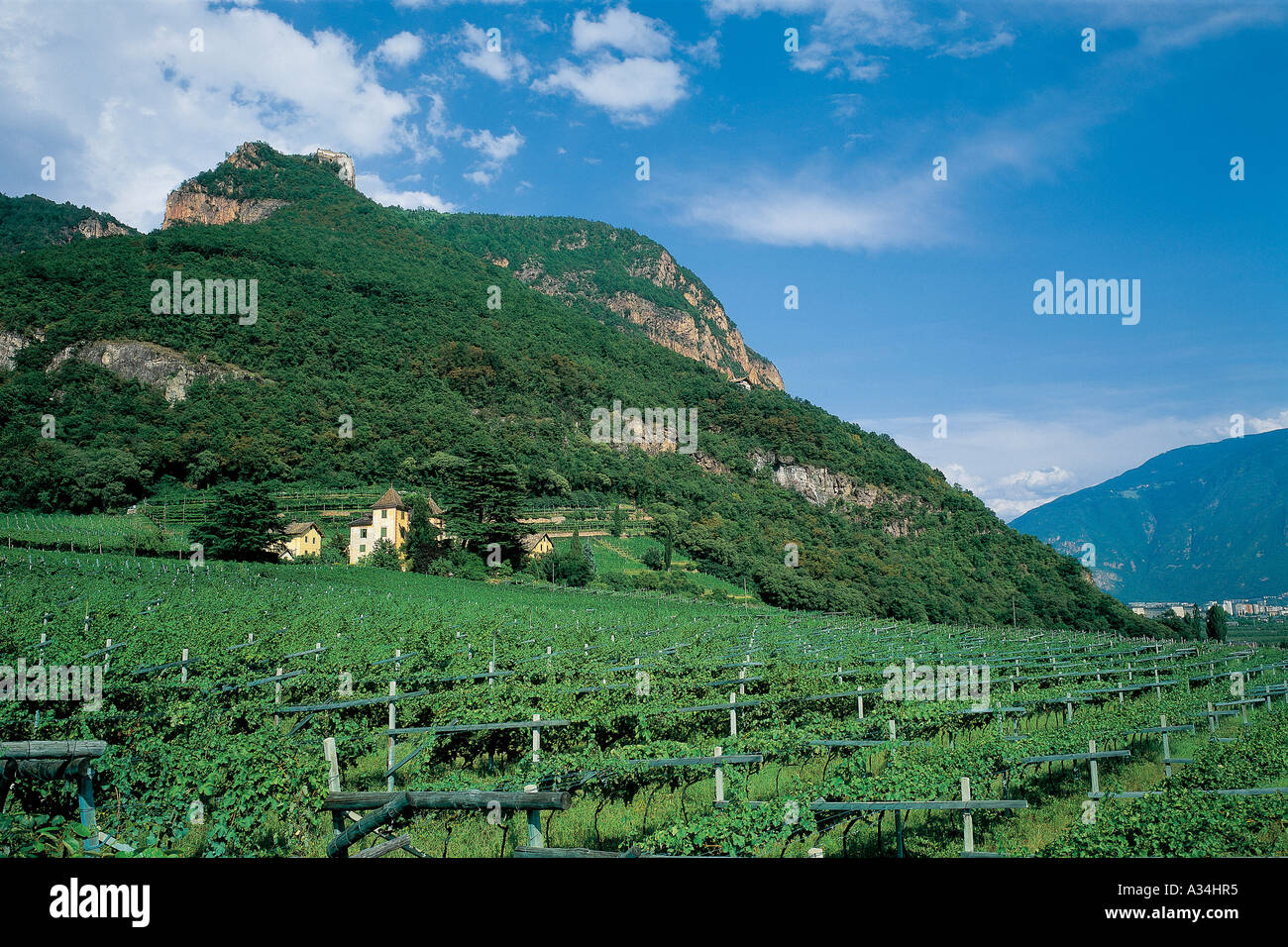 Da ranch hi-res stock photography and images - Alamy