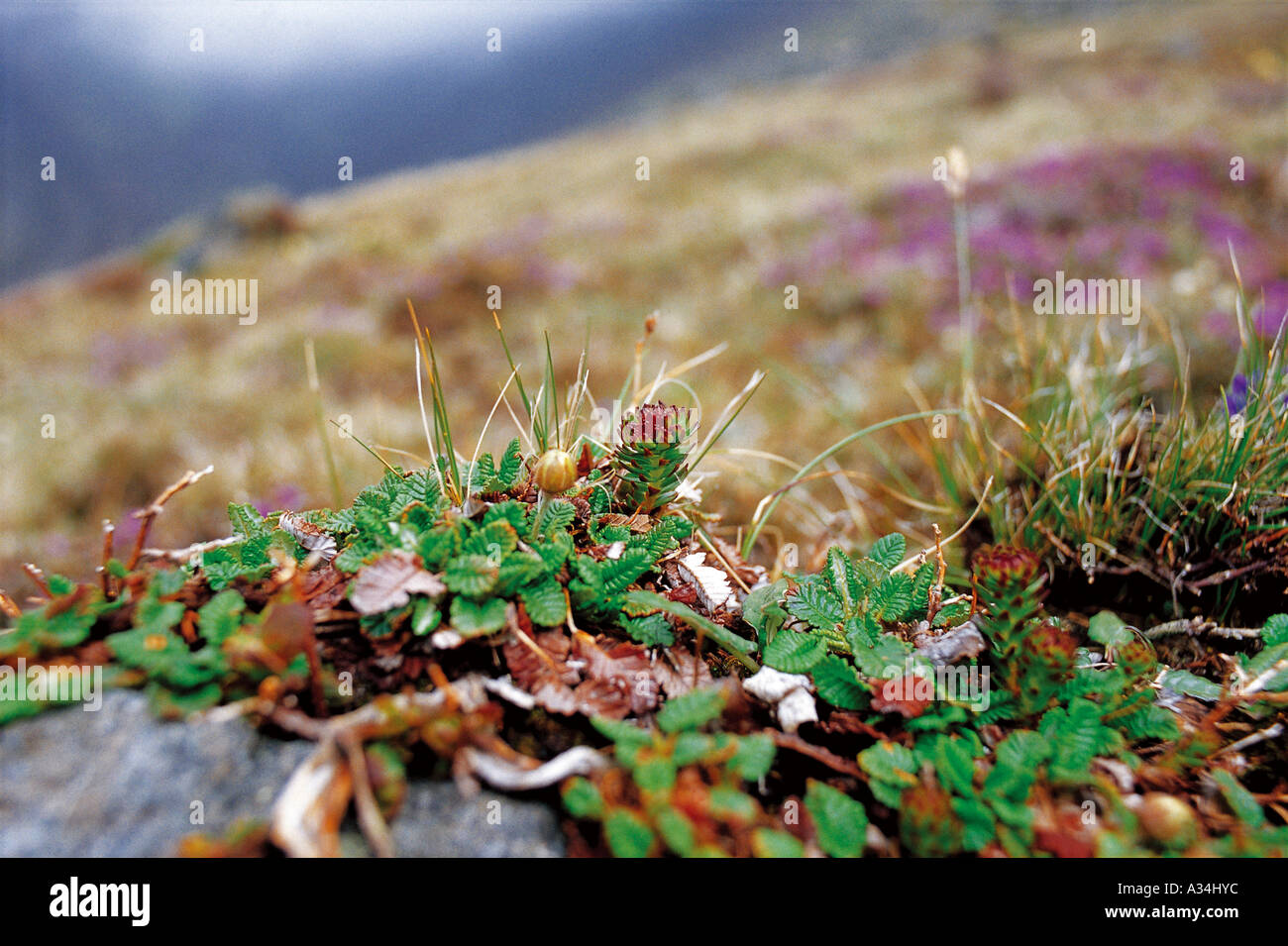 Mt Baekdu High Resolution Stock Photography and Images - Alamy