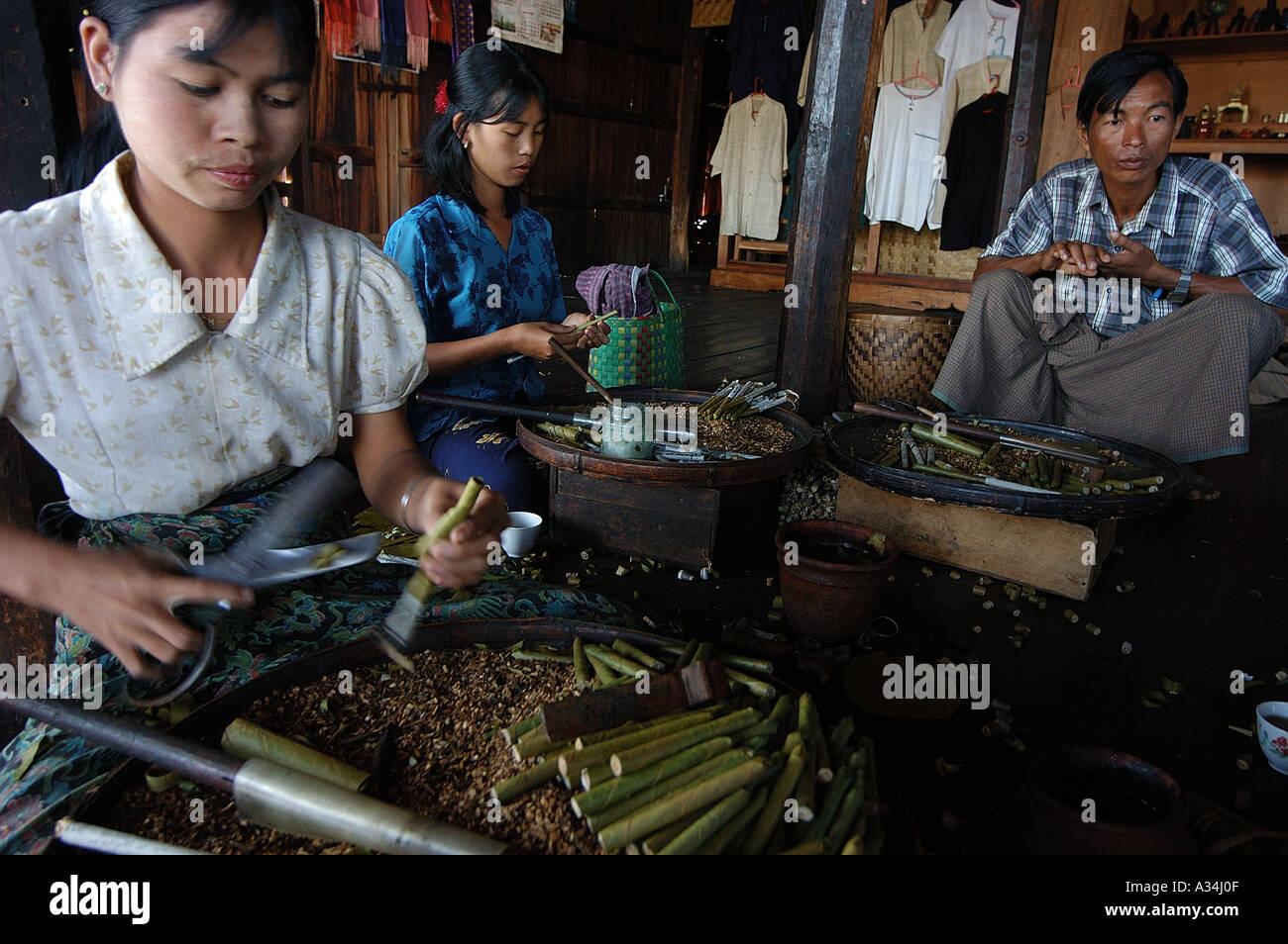 cigar makers factory Inle Lake Burma Myanmar Stock Photo - Alamy