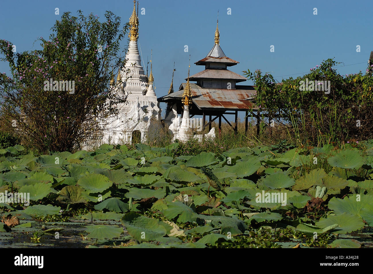 waterside temple Inle Lake Burma Myanmar Stock Photo - Alamy
