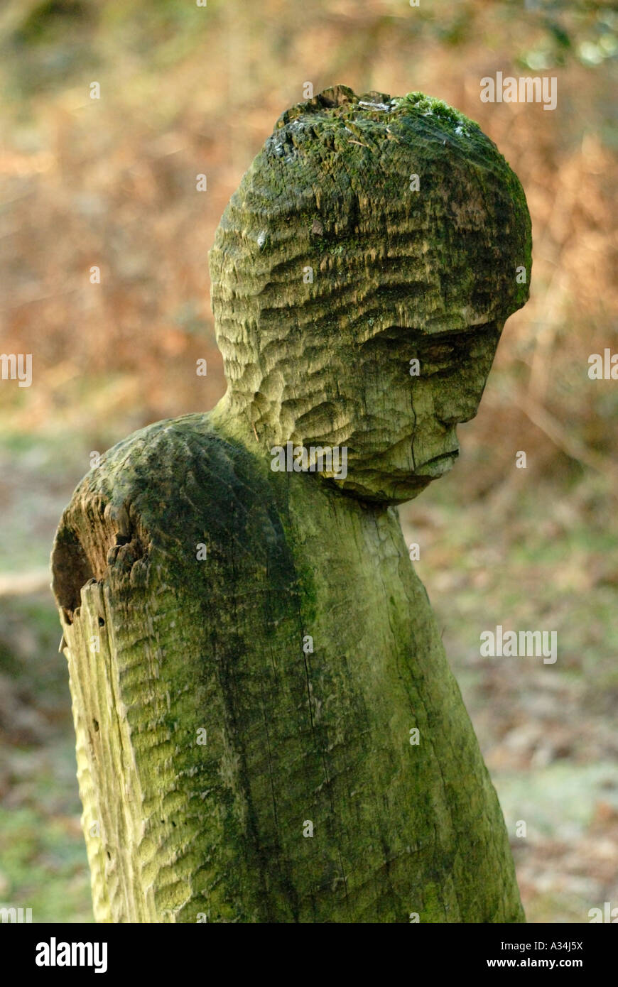 Robert koenig hi-res stock photography and images - Alamy