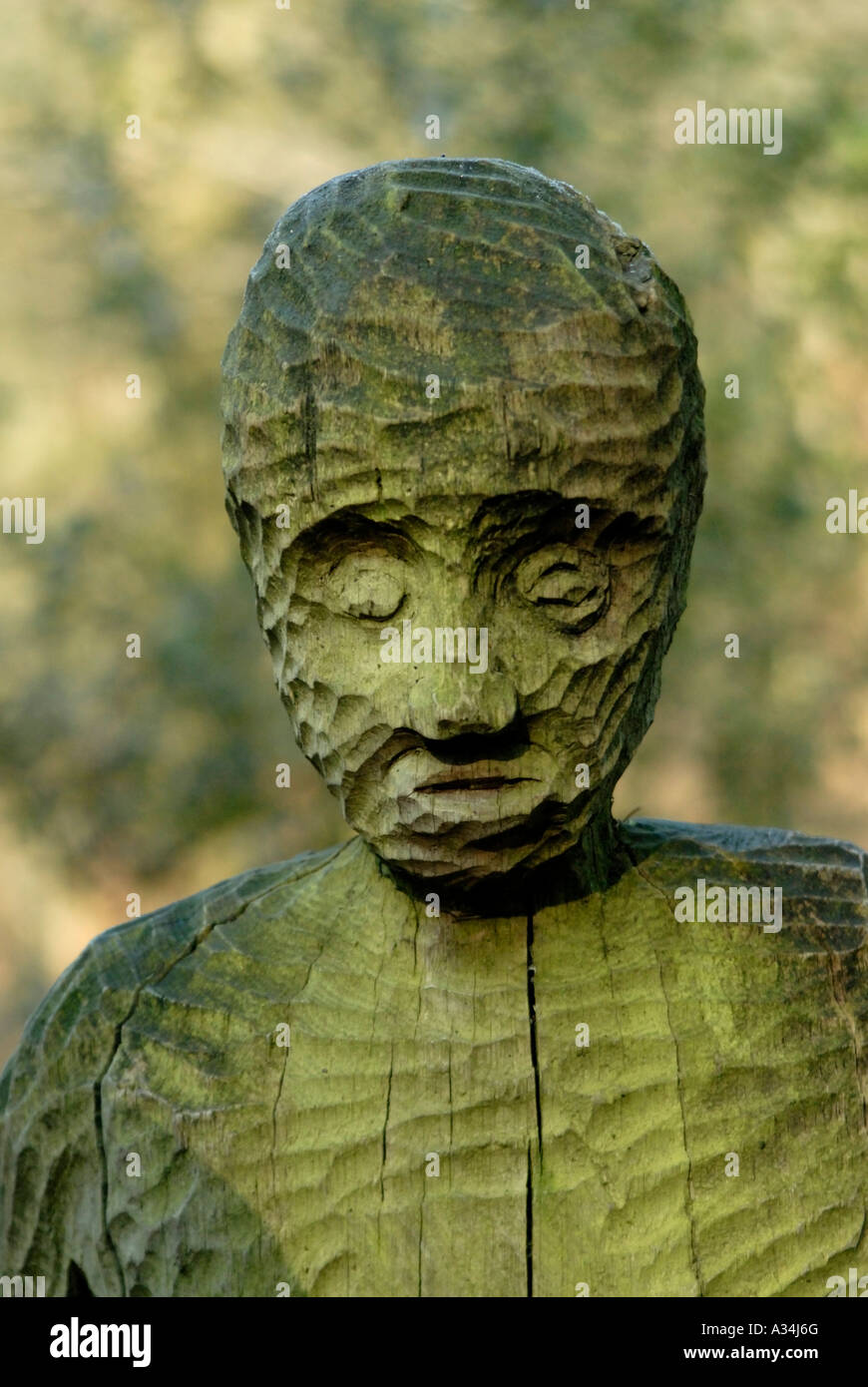 Robert koenig hi-res stock photography and images - Alamy