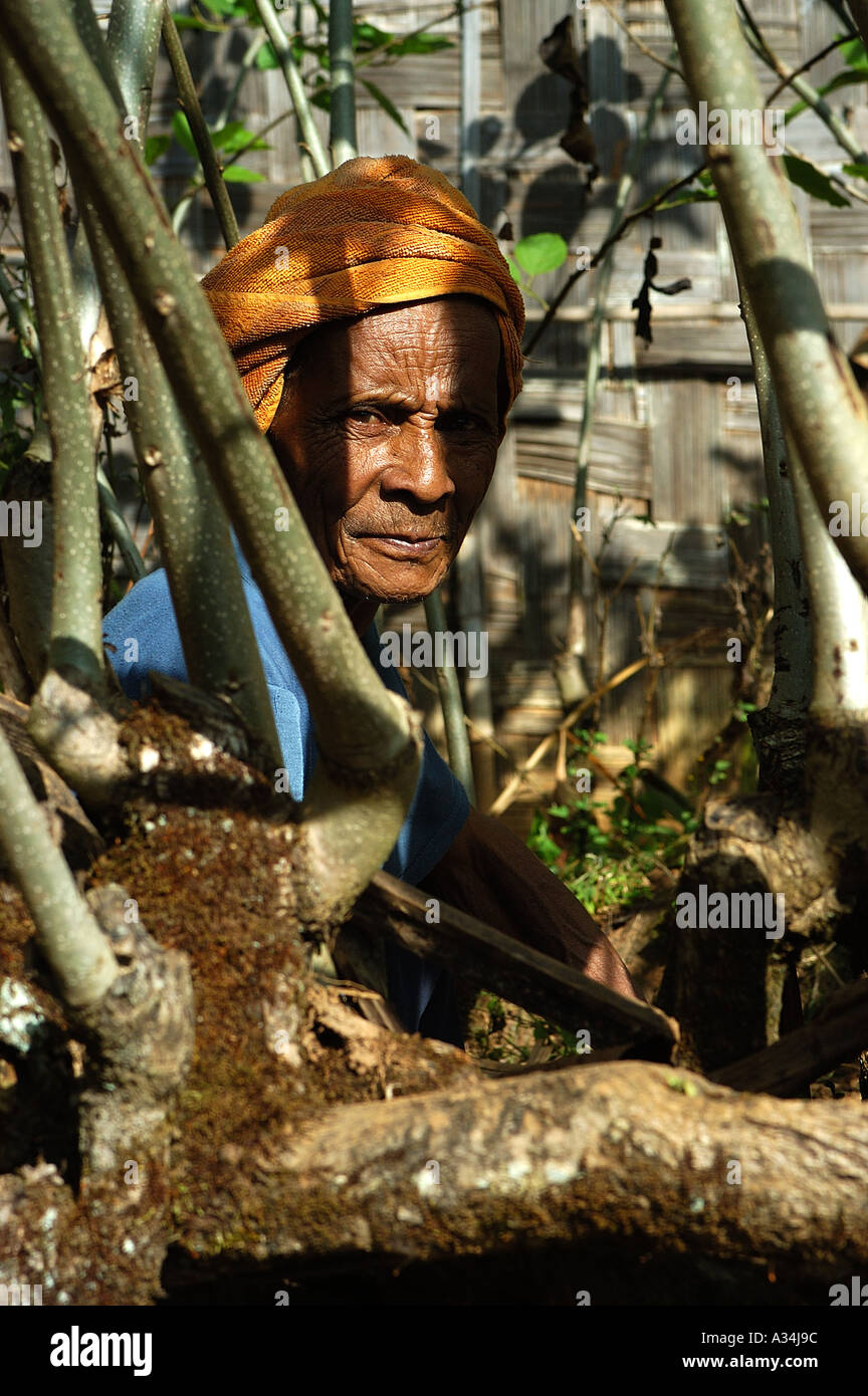 old man trekking route from Inle Lake Inle Lake Burma Myanmar Stock ...