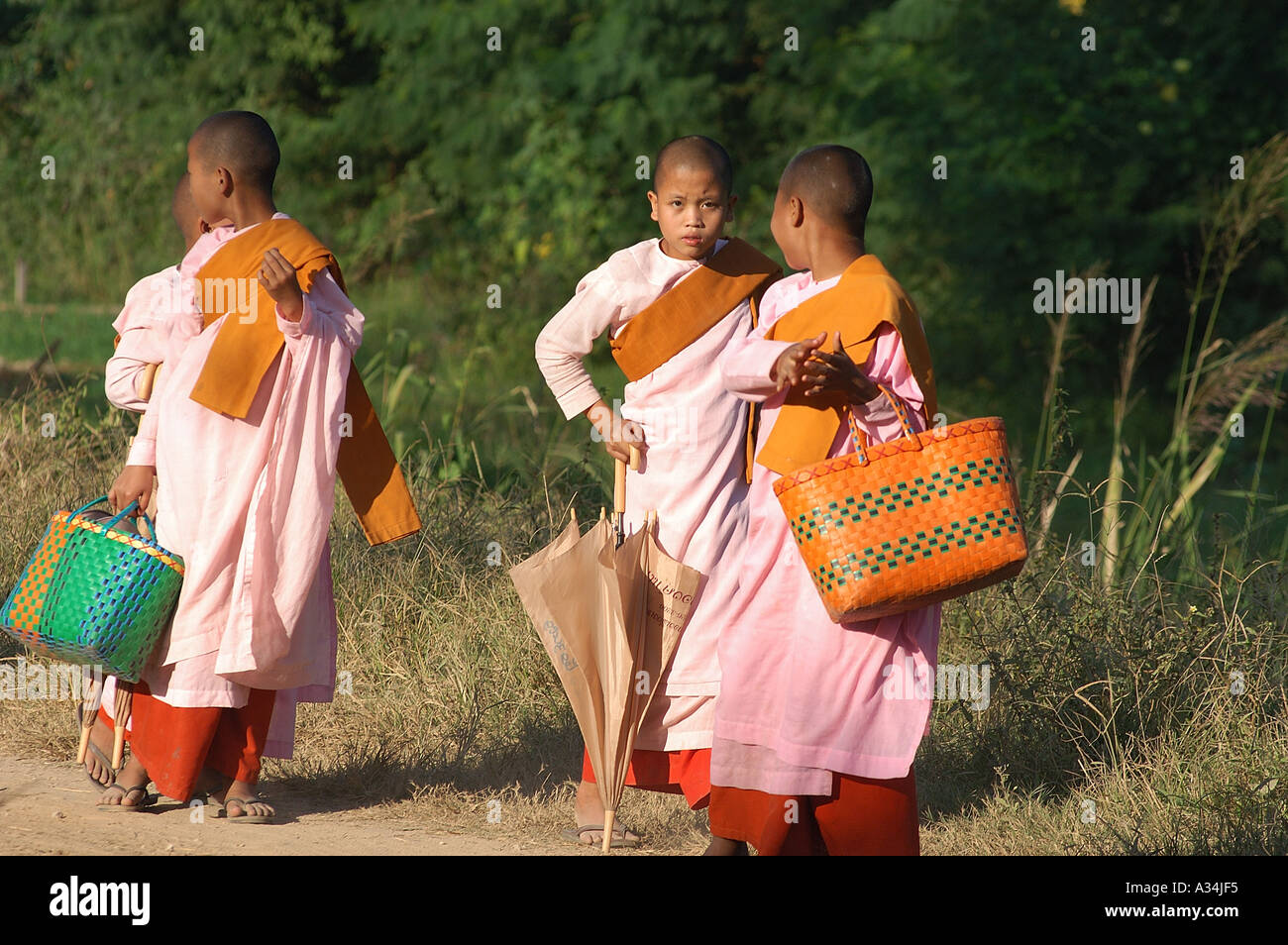 trainee nuns Inle Lake Burma Myanmar Stock Photo - Alamy
