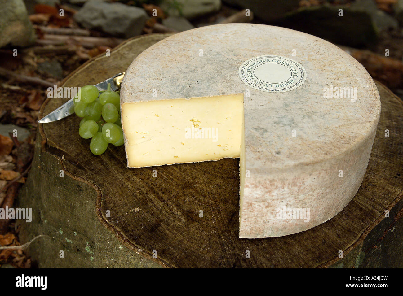 Gorwyd Caerphilly Cheese Food and Drink Lifestyle Wales Stock Photo - Alamy