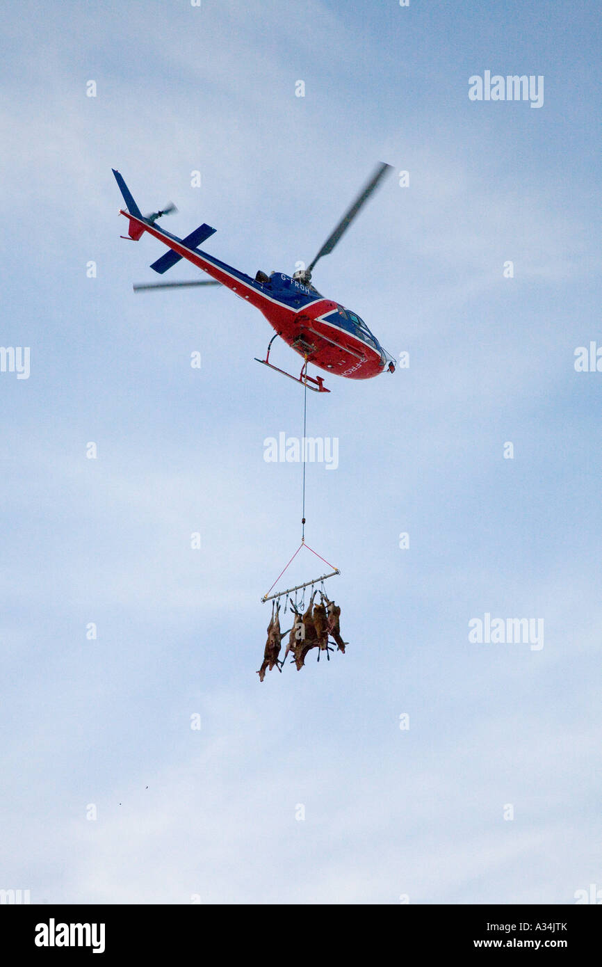 Human carcasses hi-res stock photography and images - Alamy