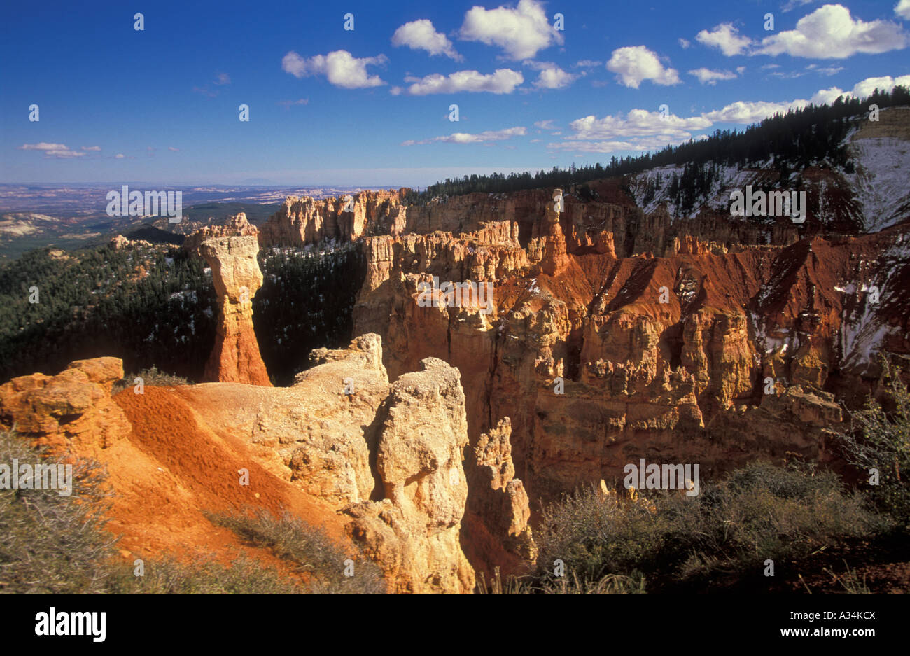 Sandstone hoodoos Bryce Canyon national Park utah USA US United states ...
