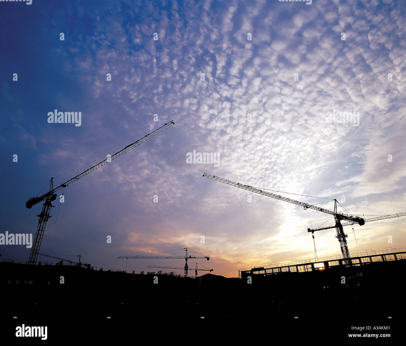 Multiple tower cranes standing on the massive construction site Stock ...