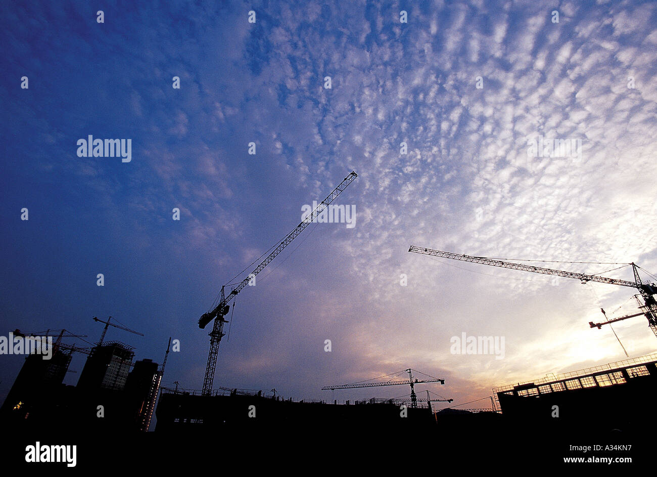 Multiple tower cranes standing on the massive construction site Stock ...