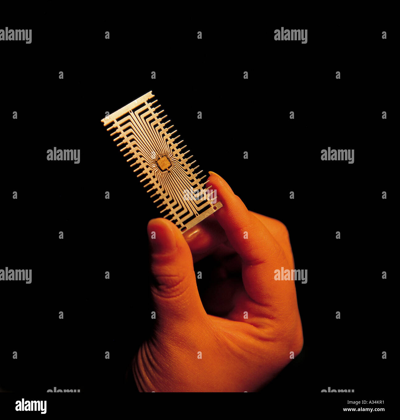 A computer chip held by female fingers Stock Photo - Alamy