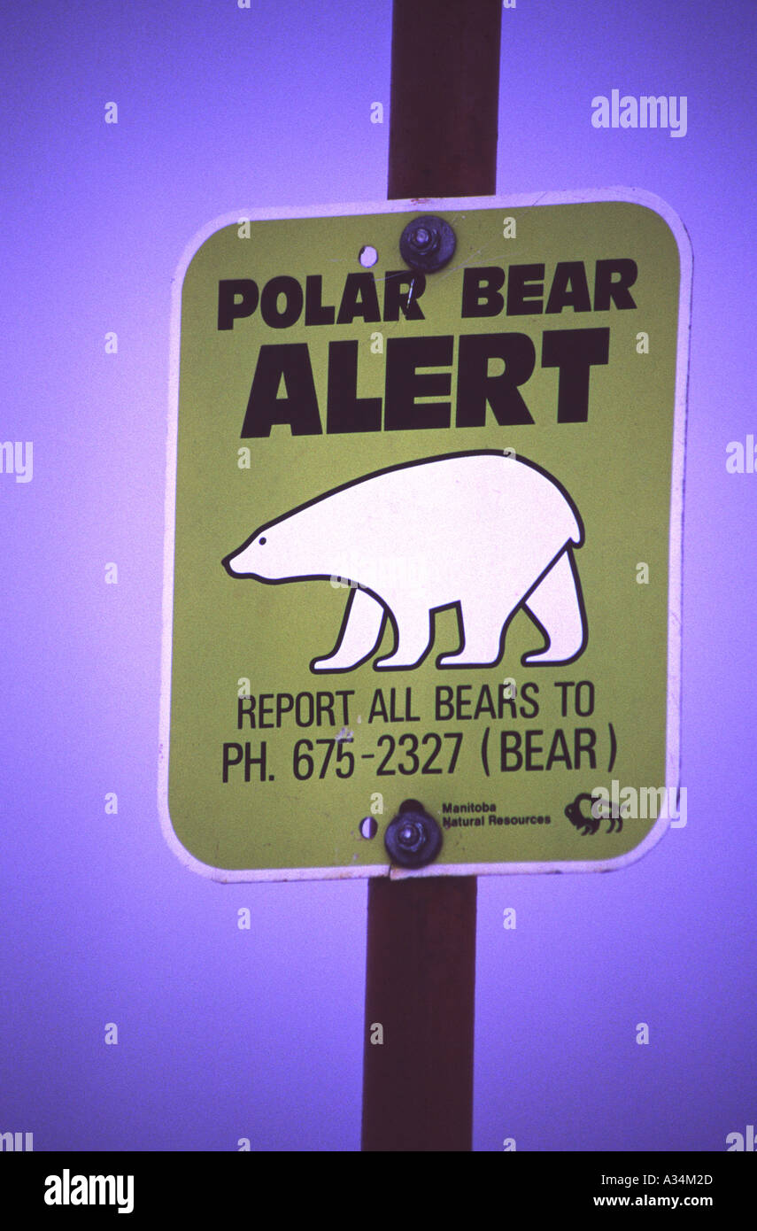 Polar bear alert sign Stock Photo - Alamy