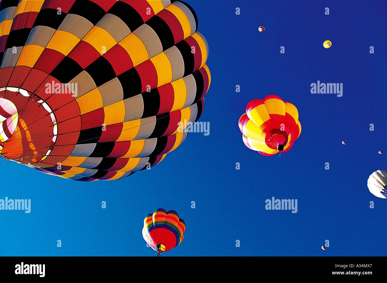 A bottom top view on the colorful hot air balloons floating in the air ...