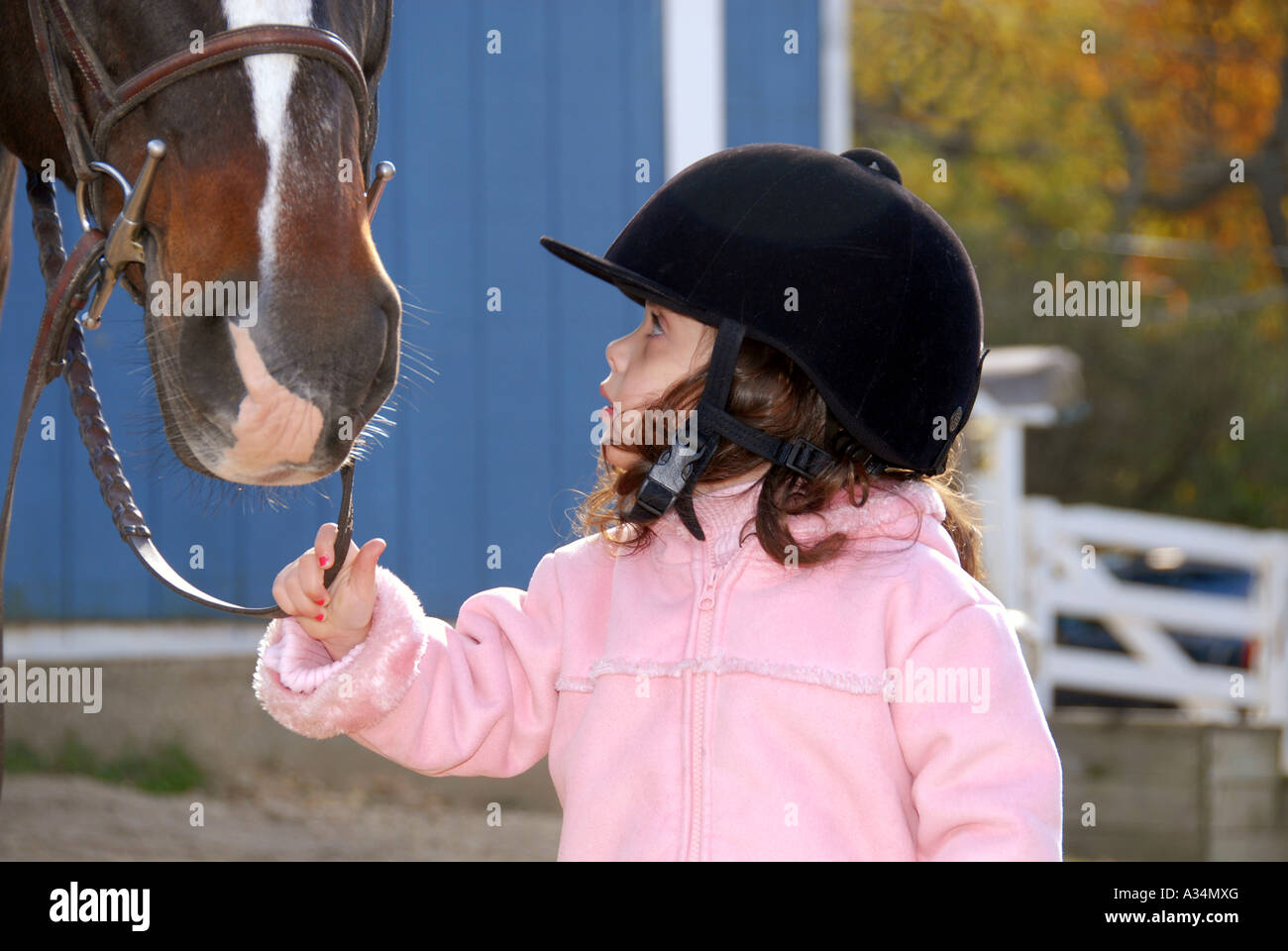 Three year old girl looking lovingly at her horse Stanhope Stables ...