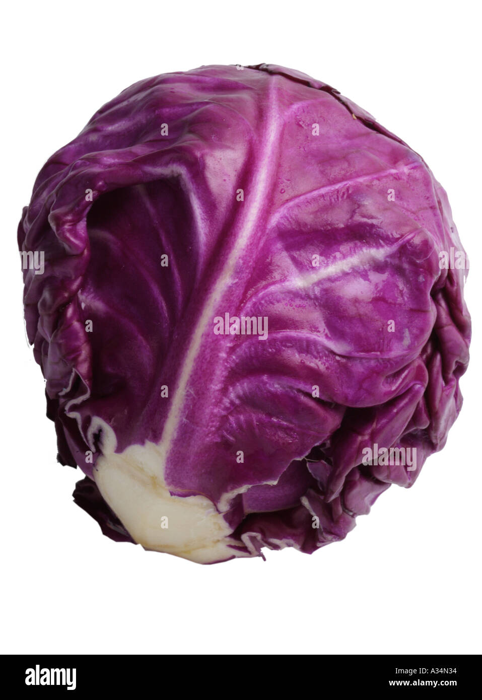 Cabbage silhouette hi-res stock photography and images - Alamy