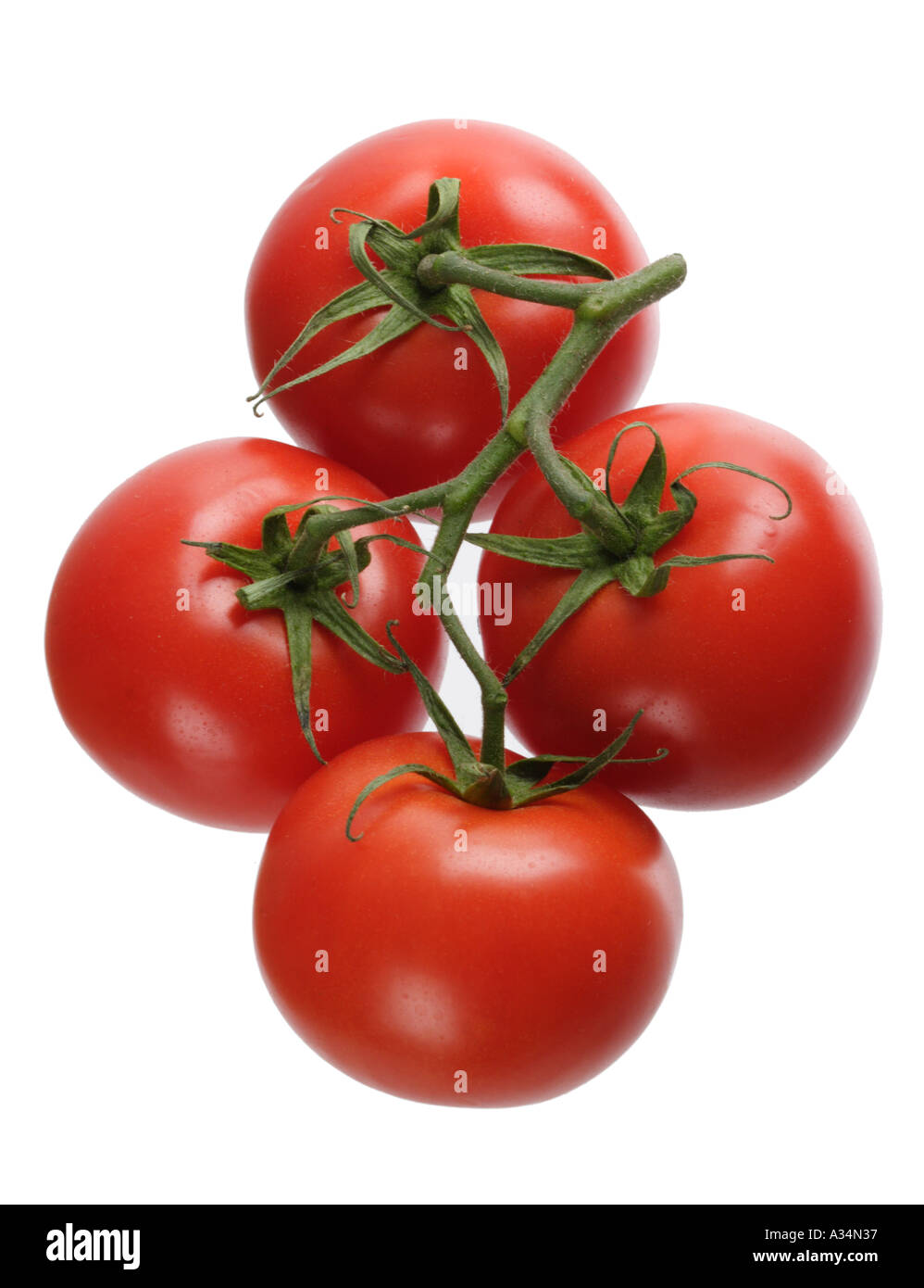 Vine Ripened Tomatoes High Resolution Stock Photography and Images - Alamy