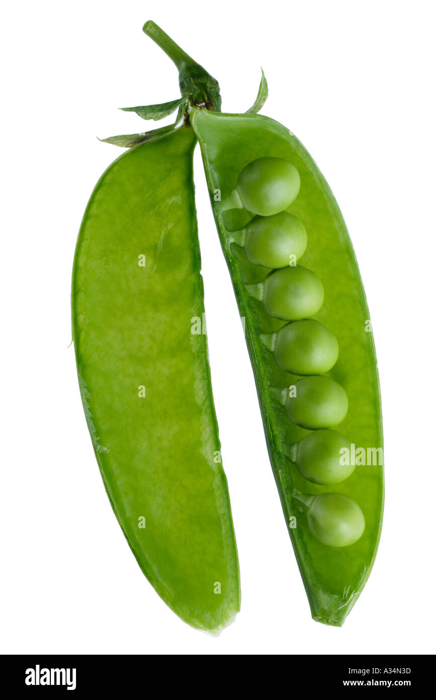 Open Pea Pod Stock Photo - Alamy