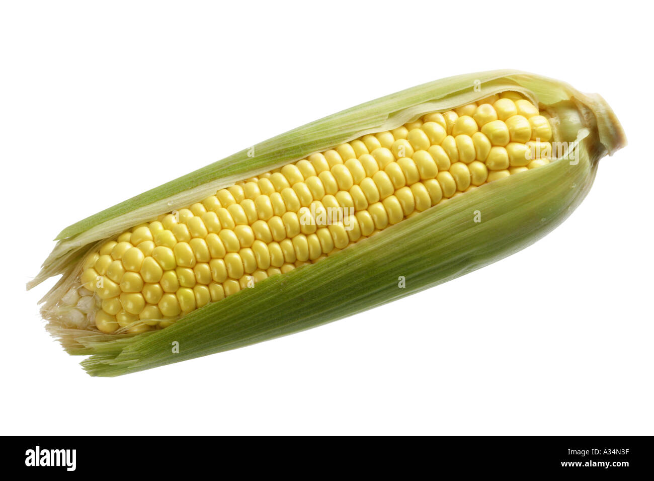 Fresh Corn on the Cob Stock Photo - Alamy Fresh Corn on the Cob Stock Photo - Alamy
