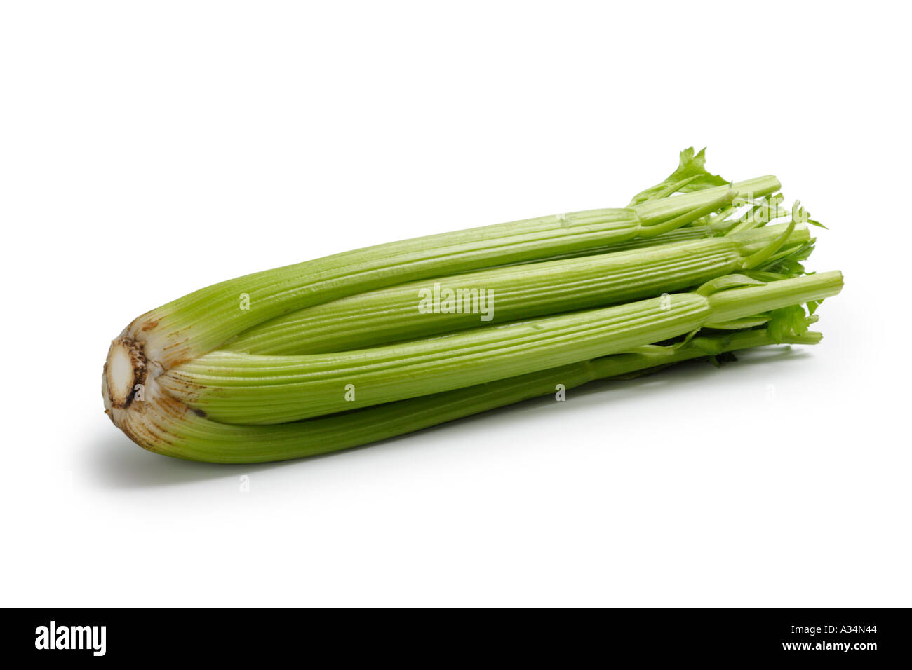 Single celery stick hi-res stock photography and images - Alamy