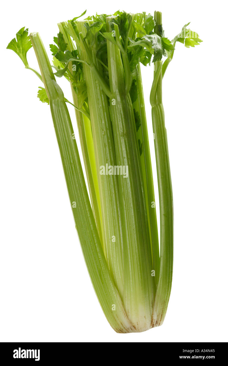 Single stick celery Cut Out Stock Images & Pictures - Alamy