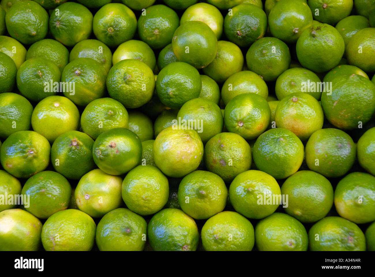 Limes stacked in an outdoor fruit market display Stock Photo - Alamy