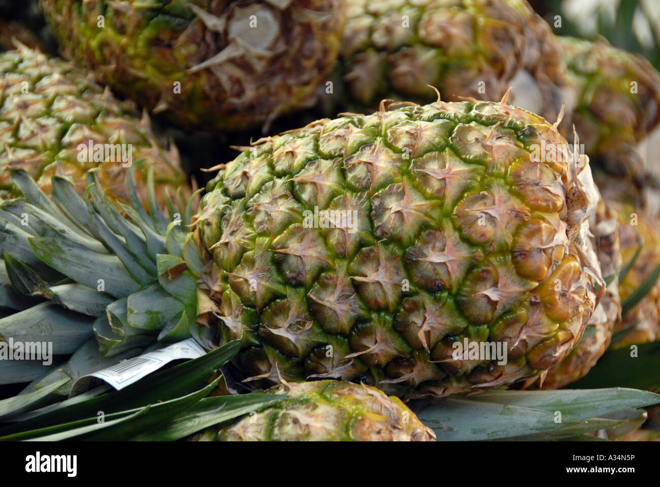 Golden pineapple display hi-res stock photography and images - Alamy