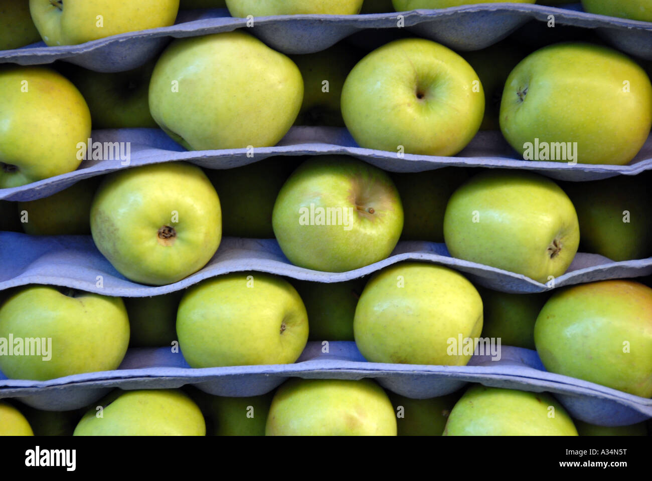 Golden apples stacked between blue packaging layers Stock Photo - Alamy