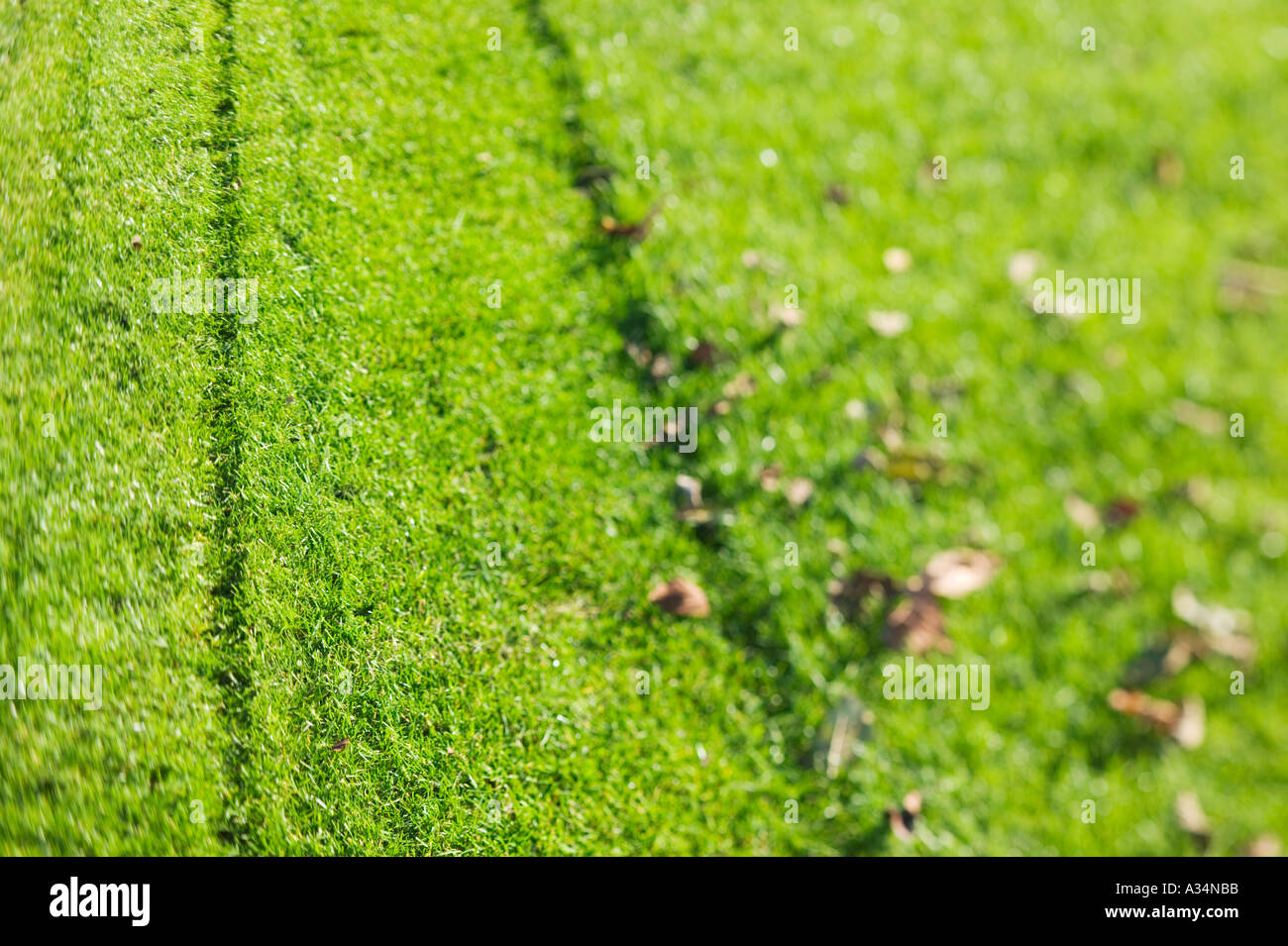Partially cut grass hi-res stock photography and images - Alamy