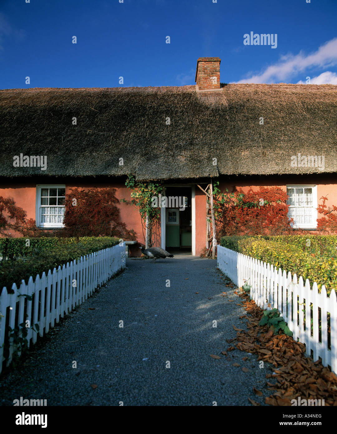 irish rural thatched roofed dwelling hnouse Stock Photo - Alamy