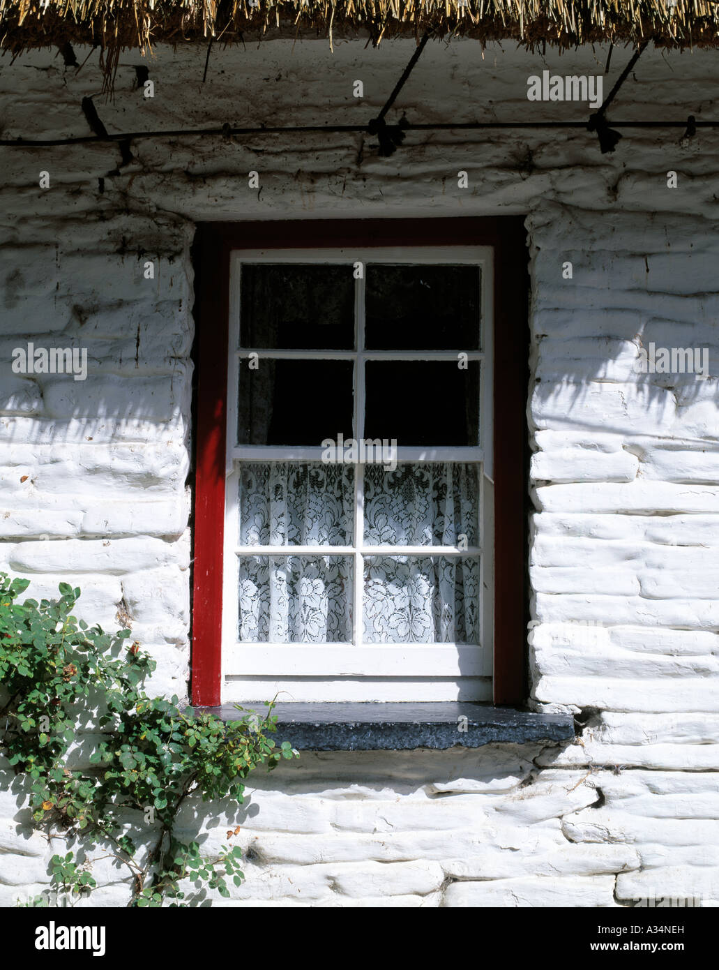 small glass window of an irish thatched house with flowers Stock Photo ...