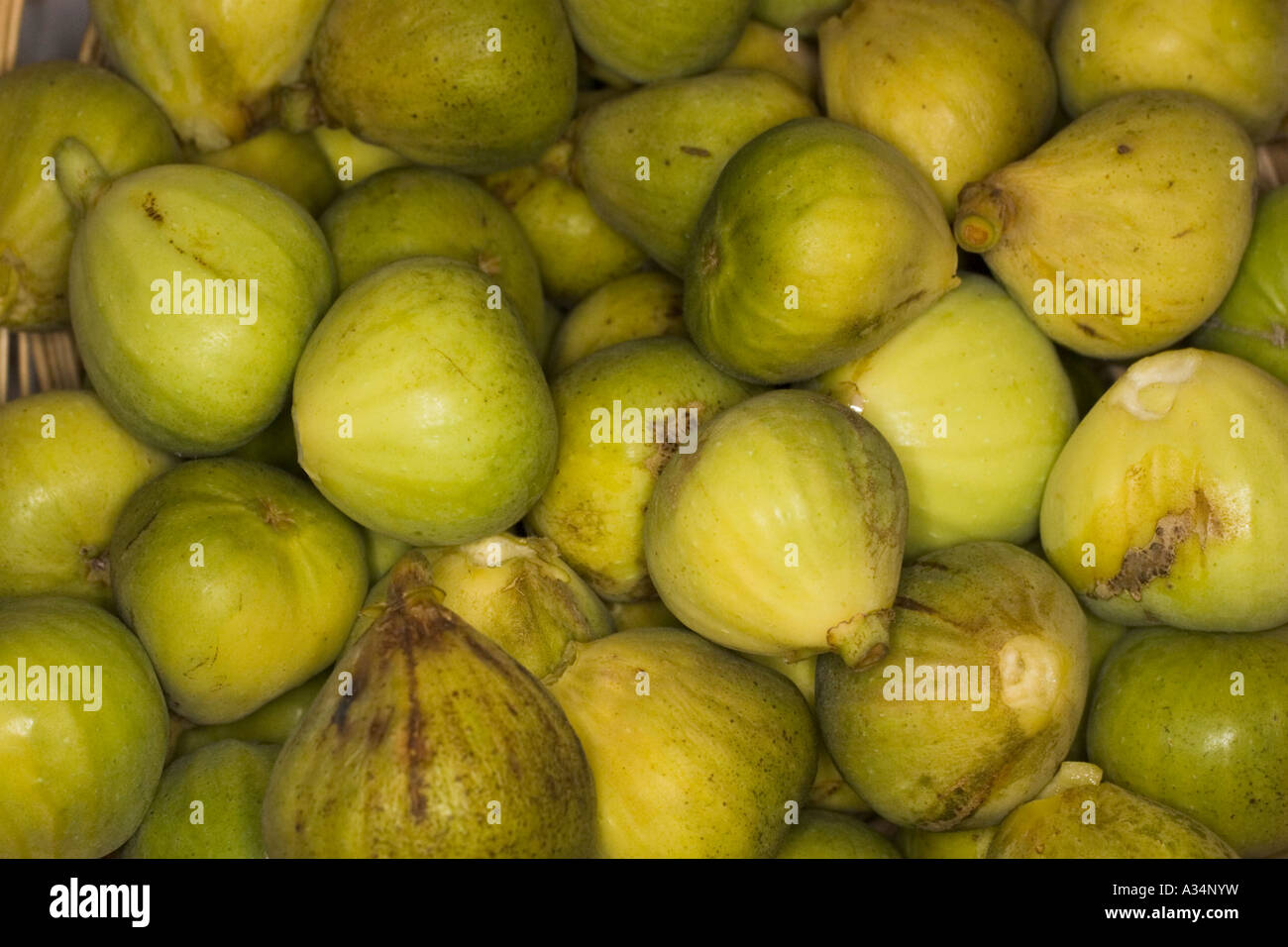 Ripe fig tree hi-res stock photography and images - Alamy