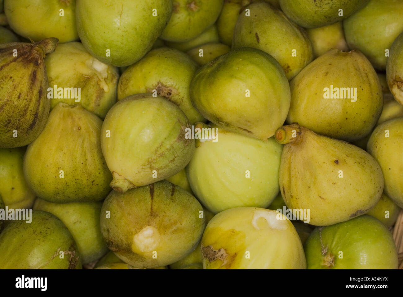 Ripe figs on the tree hi-res stock photography and images - Alamy