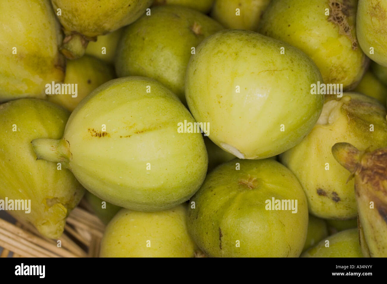 Ripe fig tree hi-res stock photography and images - Alamy