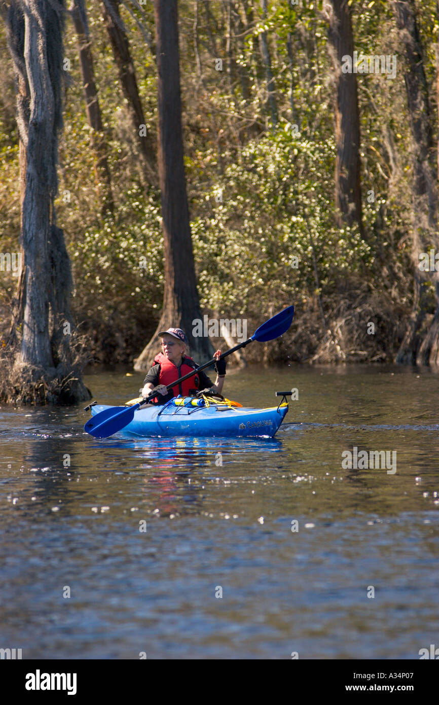 Stephen c foster state park hi-res stock photography and images - Alamy