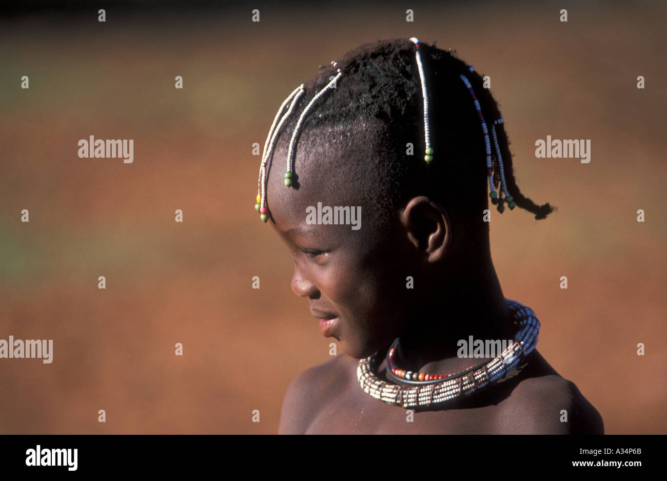 Himba boy portrait with traditional hairstyle Kaokoveld Namibia Africa ...