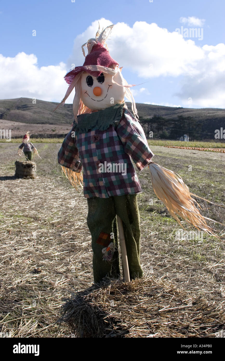 Smiley face scarecrow hi-res stock photography and images - Alamy