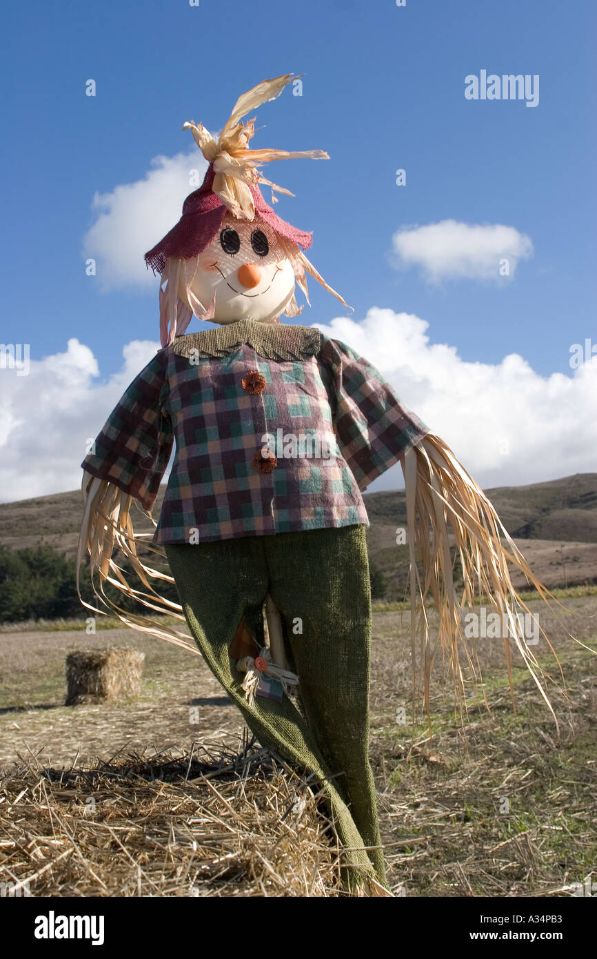 Smiley face scarecrow hi-res stock photography and images - Alamy