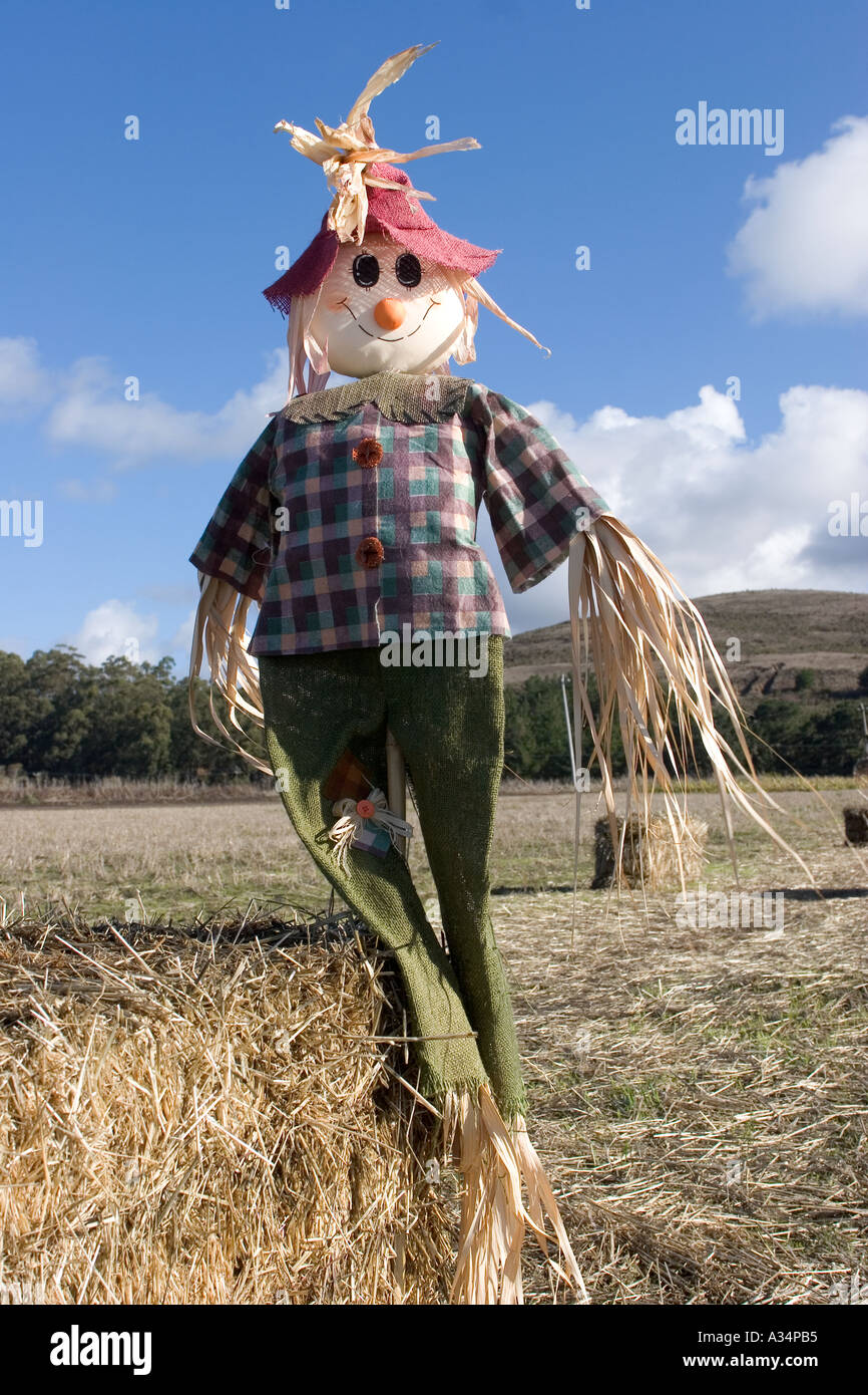 Smiley face scarecrow hi-res stock photography and images - Alamy
